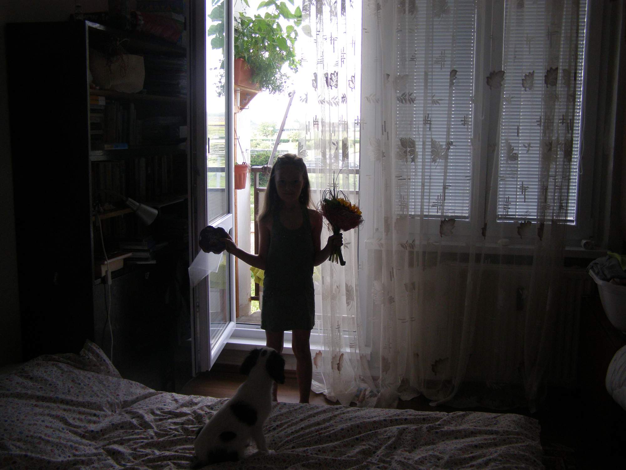 holky 2012-2014 – latynka – album na Rajčeti